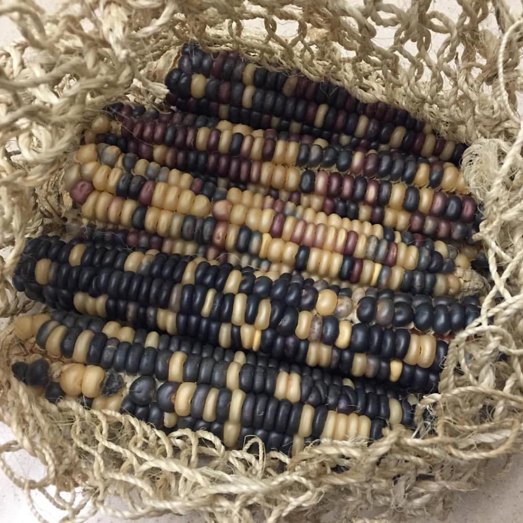Corn Mother’s Gifts – Native Hearth