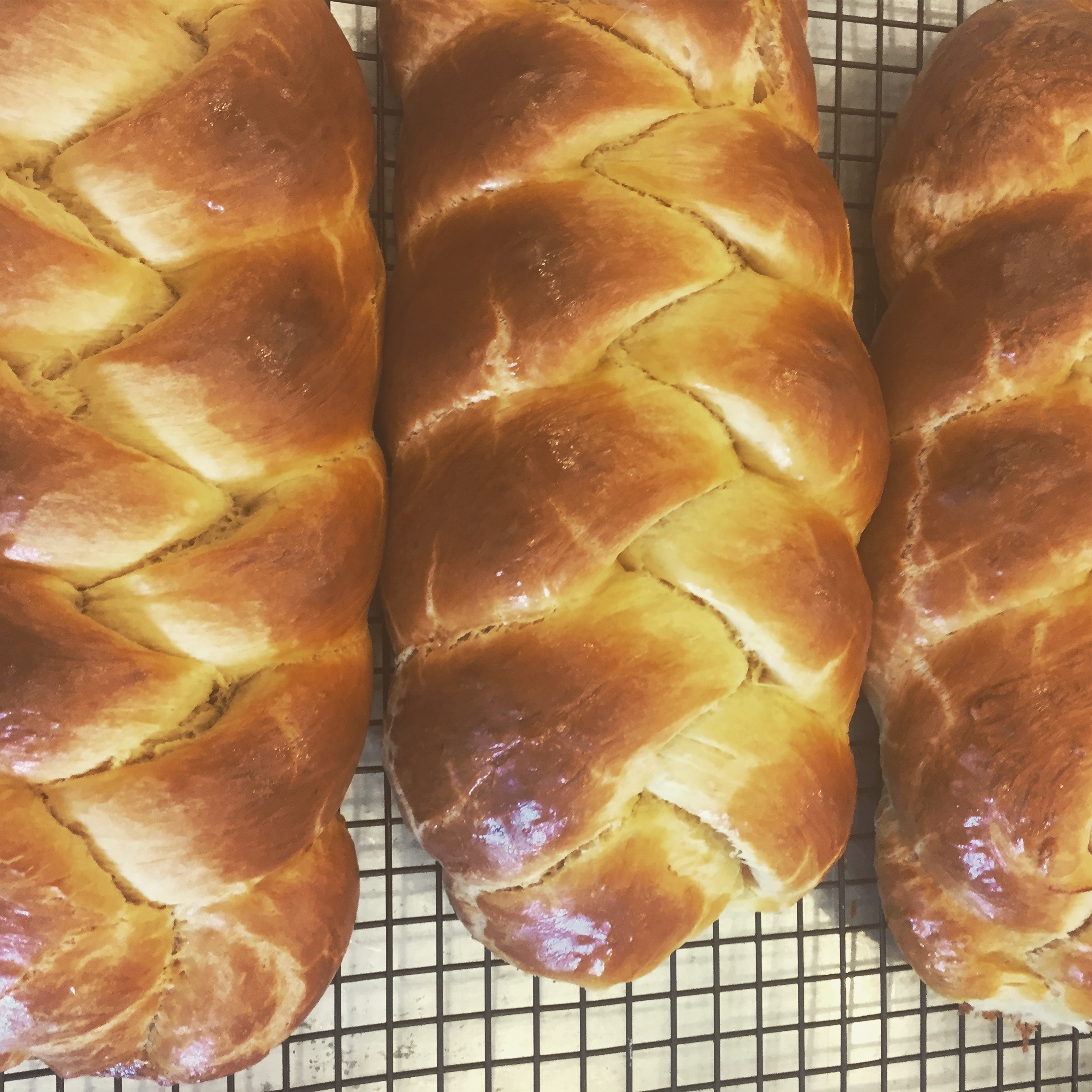 A Seed To Table At Pepperfield – Native Hearth